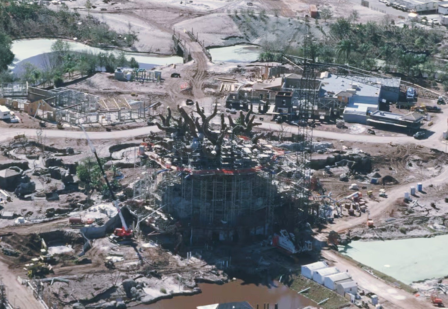 Building Disney's Animal Kingdom at Walt Disney World